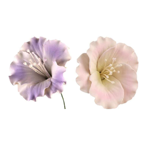 Azalea | Decorating Cakes | My Dream Cake